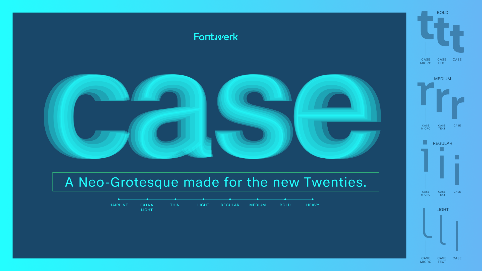Case